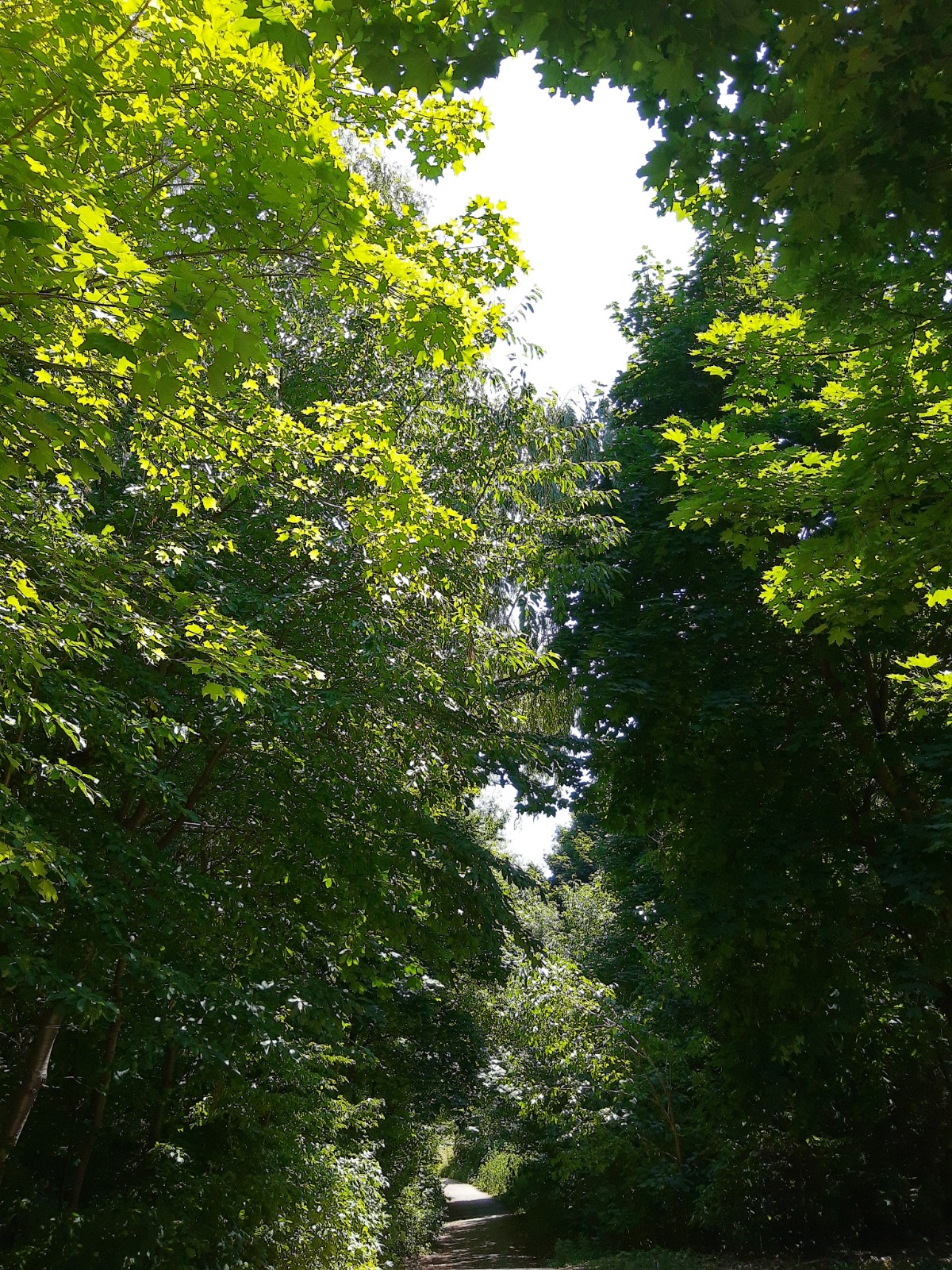 The Mind Monocle – Considering the Multiple Lenses of Psychology ...